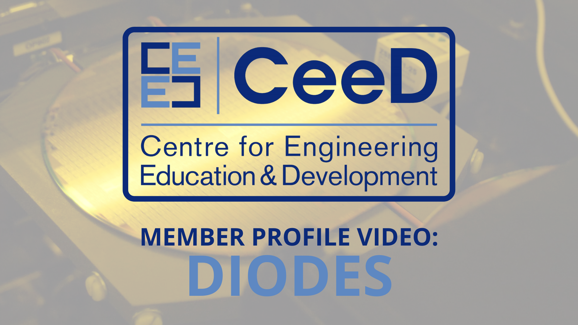 Case Studies: Continuous Improvement | CeeD